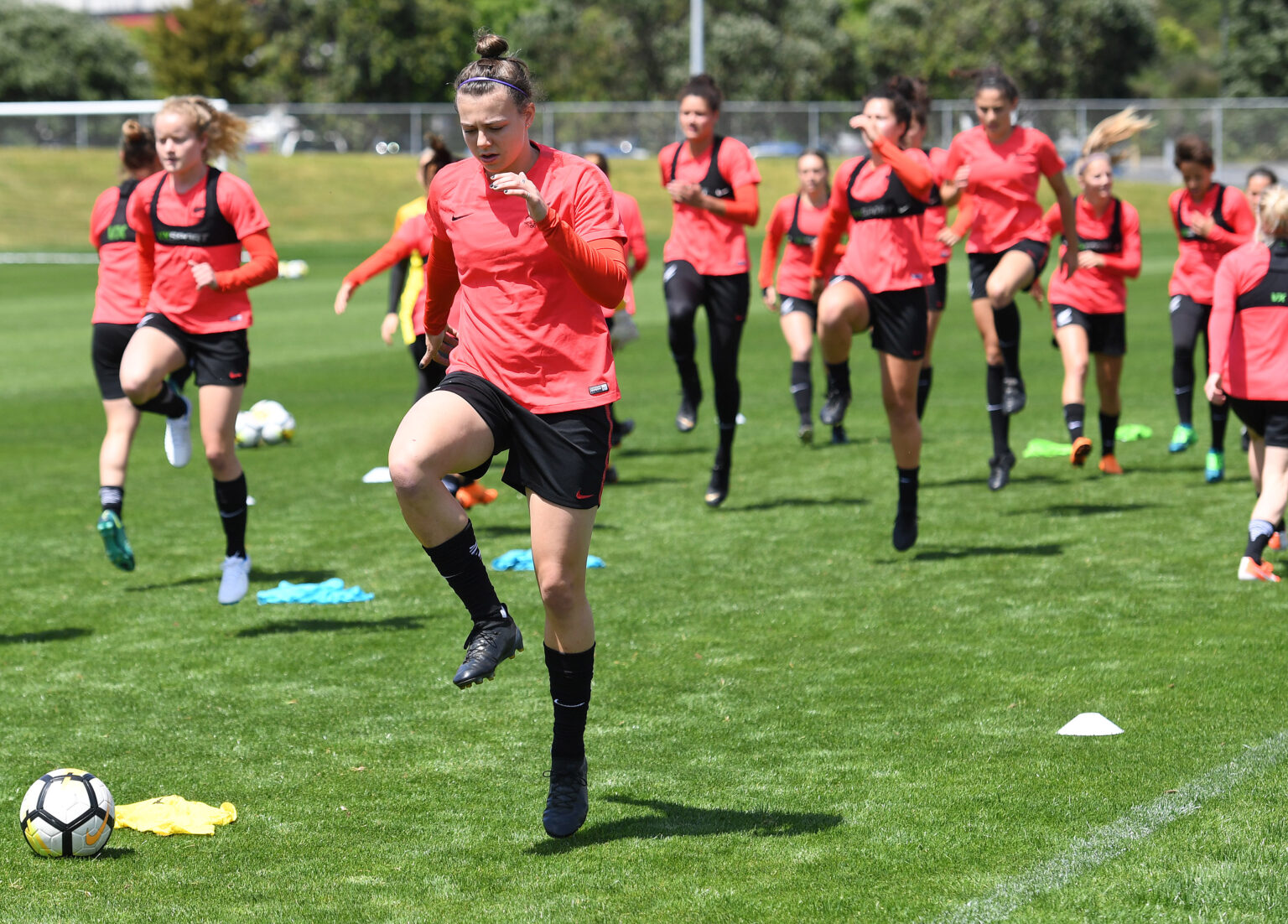 Course Preview – OFC Learn