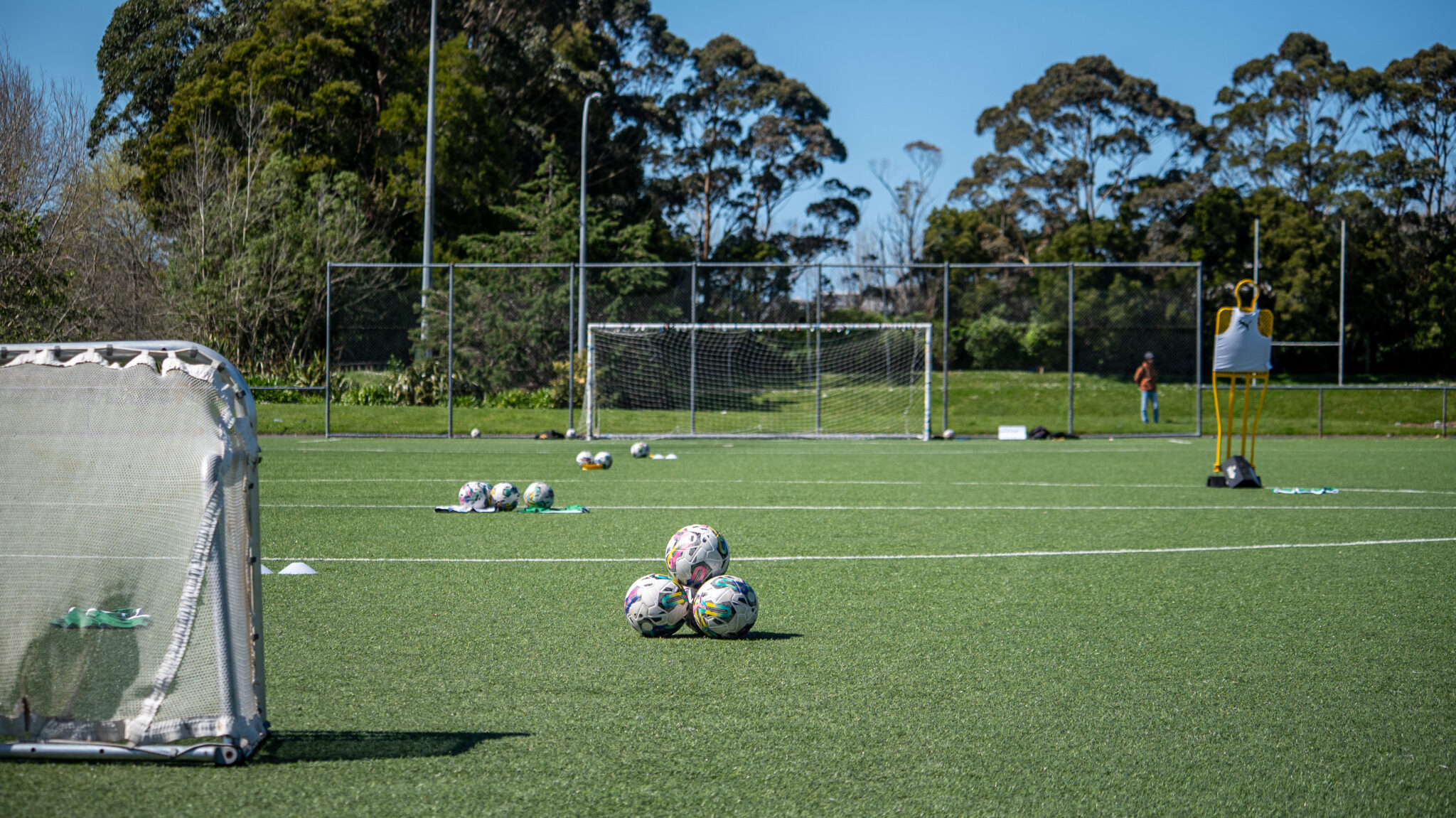 OFC/NZF B Licence Auckland 2026 – Application Form – NZF Learn